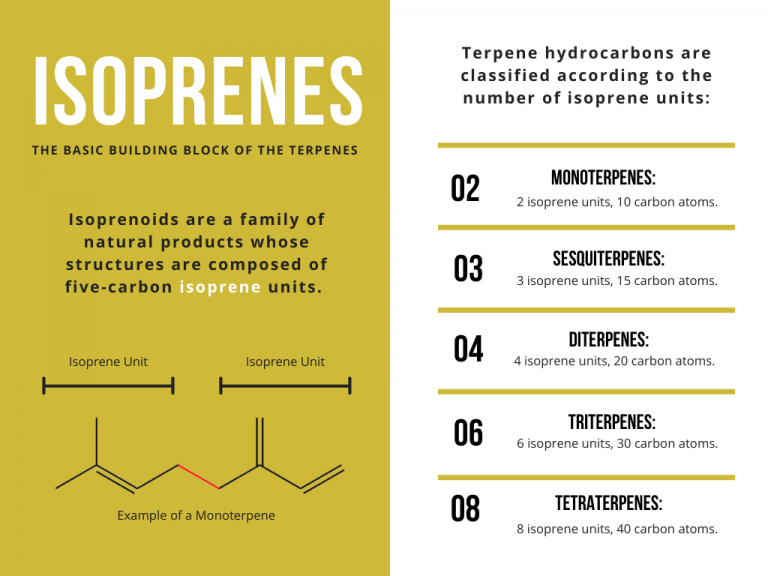 Why Are Terpenes So Hot Right Now? – Think Higher